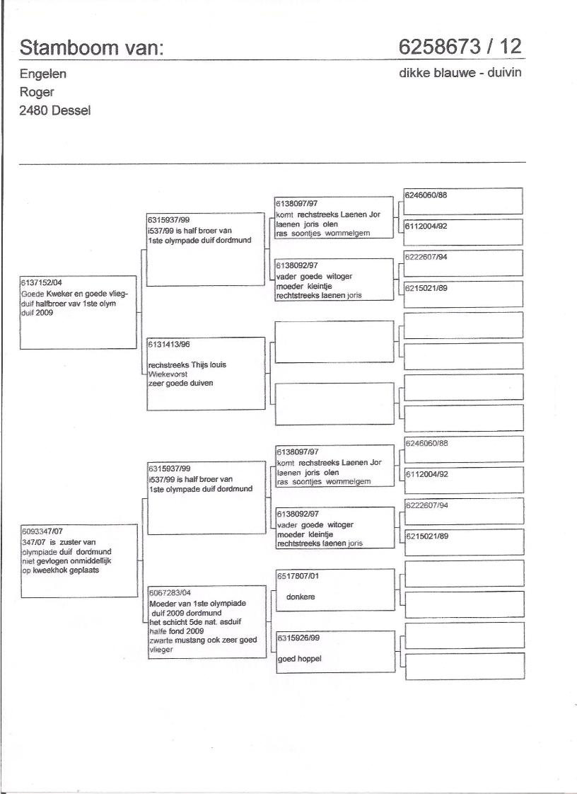 مزاد Roger Engelen 2 - منتديات الاتحاد الكويتي لسباق حمام الزاجل