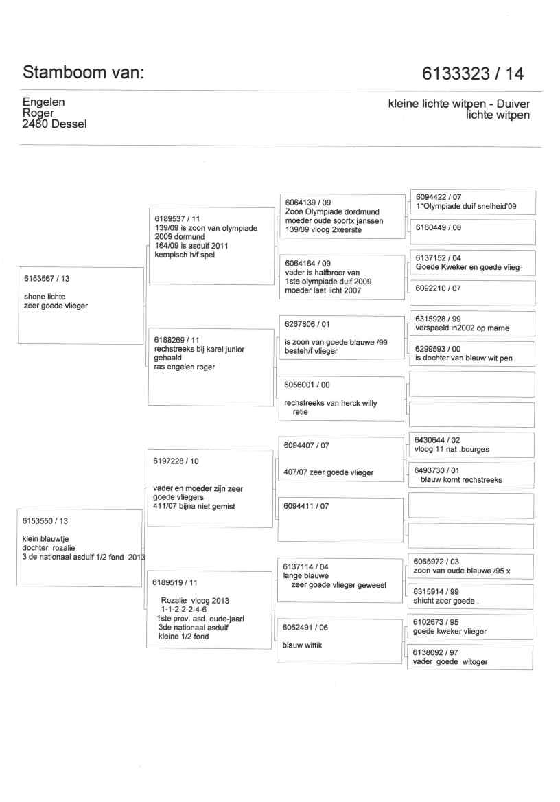 مزاد Roger Engelen - منتديات الاتحاد الكويتي لسباق حمام الزاجل